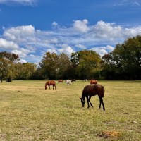 The Art of Connection – Hidden Creek Ranch