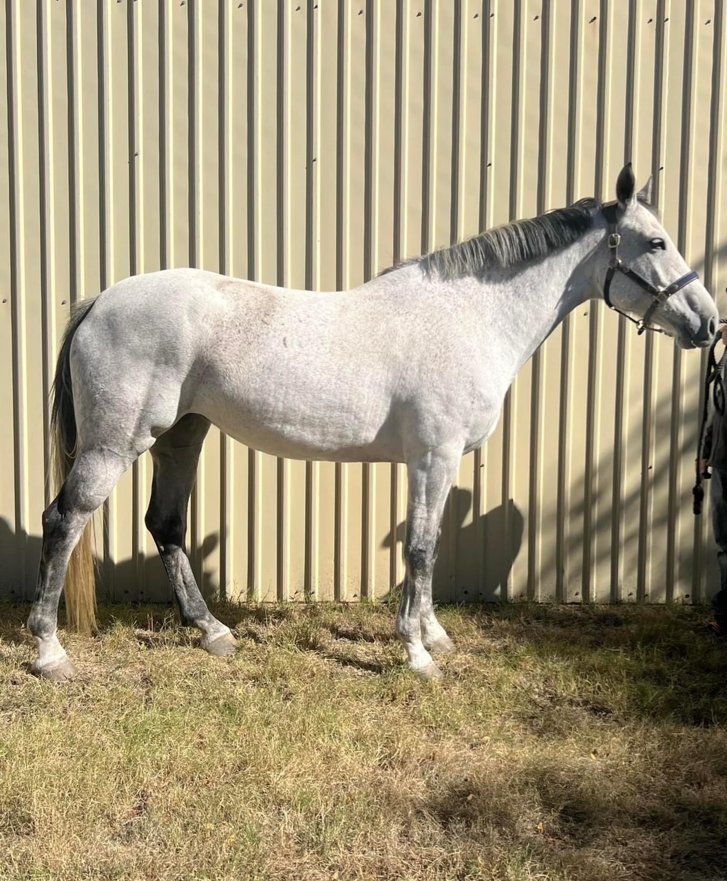 Jannellie – Hidden Creek Ranch