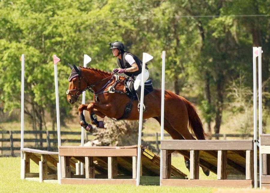 Hidden Creek Ranch – Warmblood Sporthorses and Working Cattle Ranch