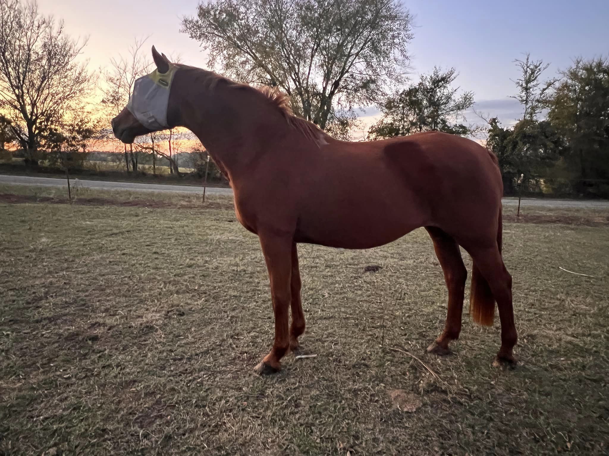 A Secret in the Night – Hidden Creek Ranch